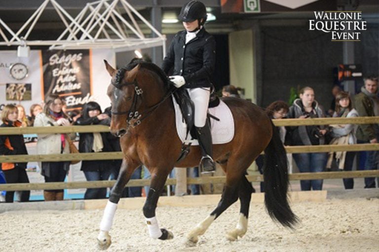 Animations et démonstrations - Equi'Feria